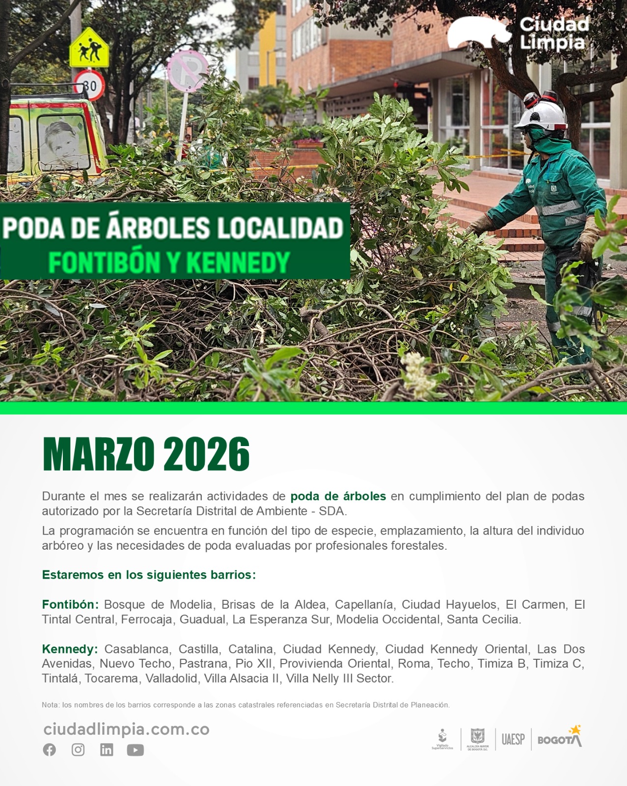 Programación de poda de árboles avanza en marzo en barrios de Fontibón ...